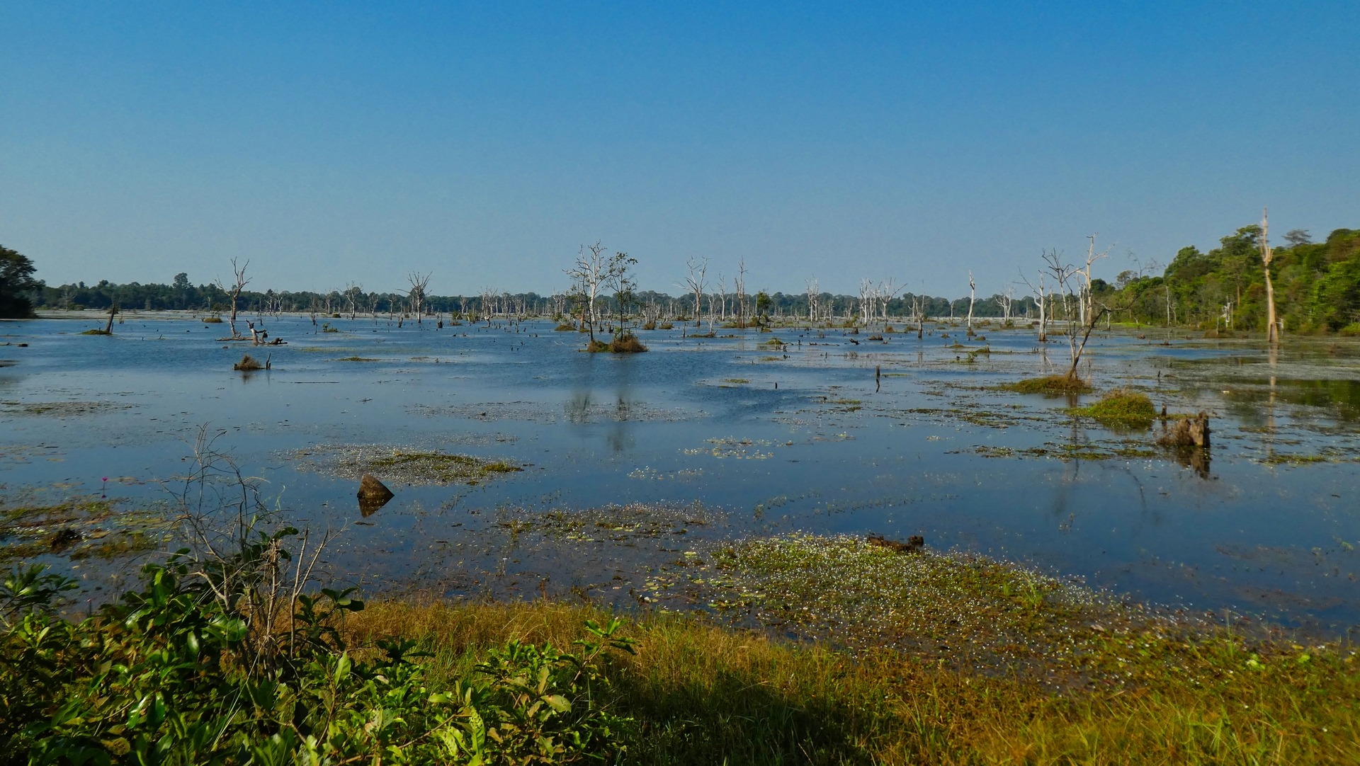 Neak Pean - a special temple in the middle of a sump landscape - Siem Reap